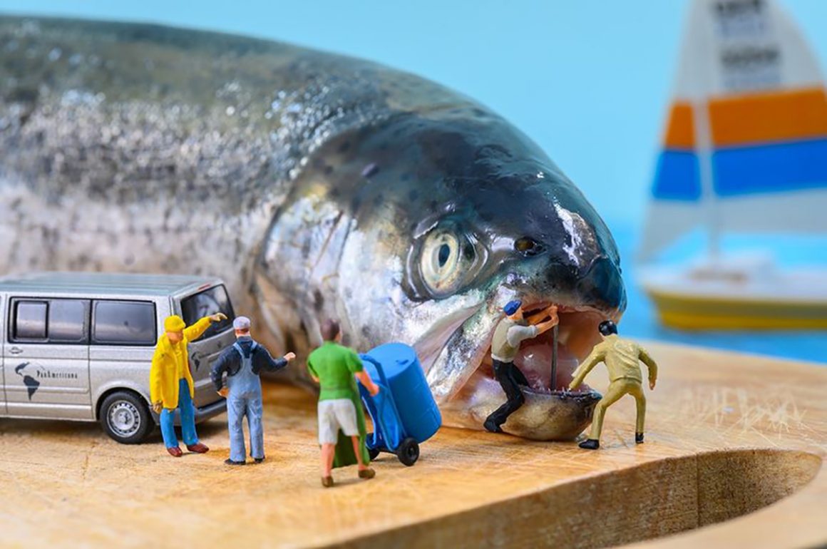 Peter Csakvari joue avec des objets du quotidien pour créer des mondes ...