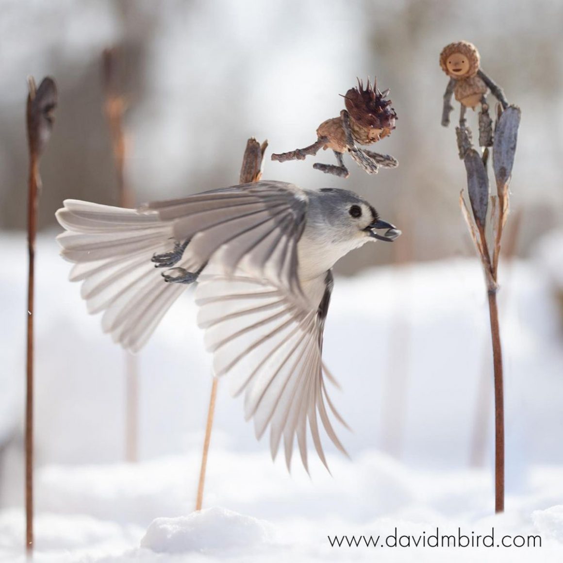 Le génial David Bird donne vie à des personnages en jouant avec la ...