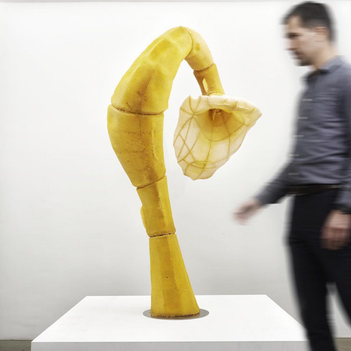 L'artiste Tomáš Libertíny collabore avec les abeilles pour sculpter des ...