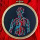 Les délicates et minutieuses broderies de l’anatomie humaine d’Amber ...