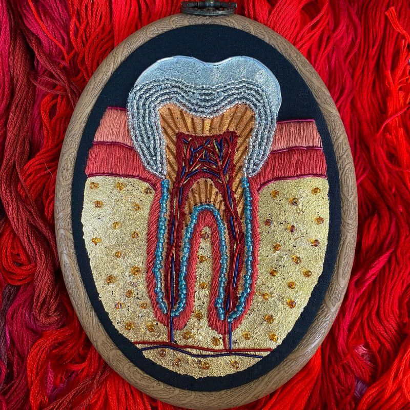 Les délicates et minutieuses broderies de l’anatomie humaine d’Amber ...