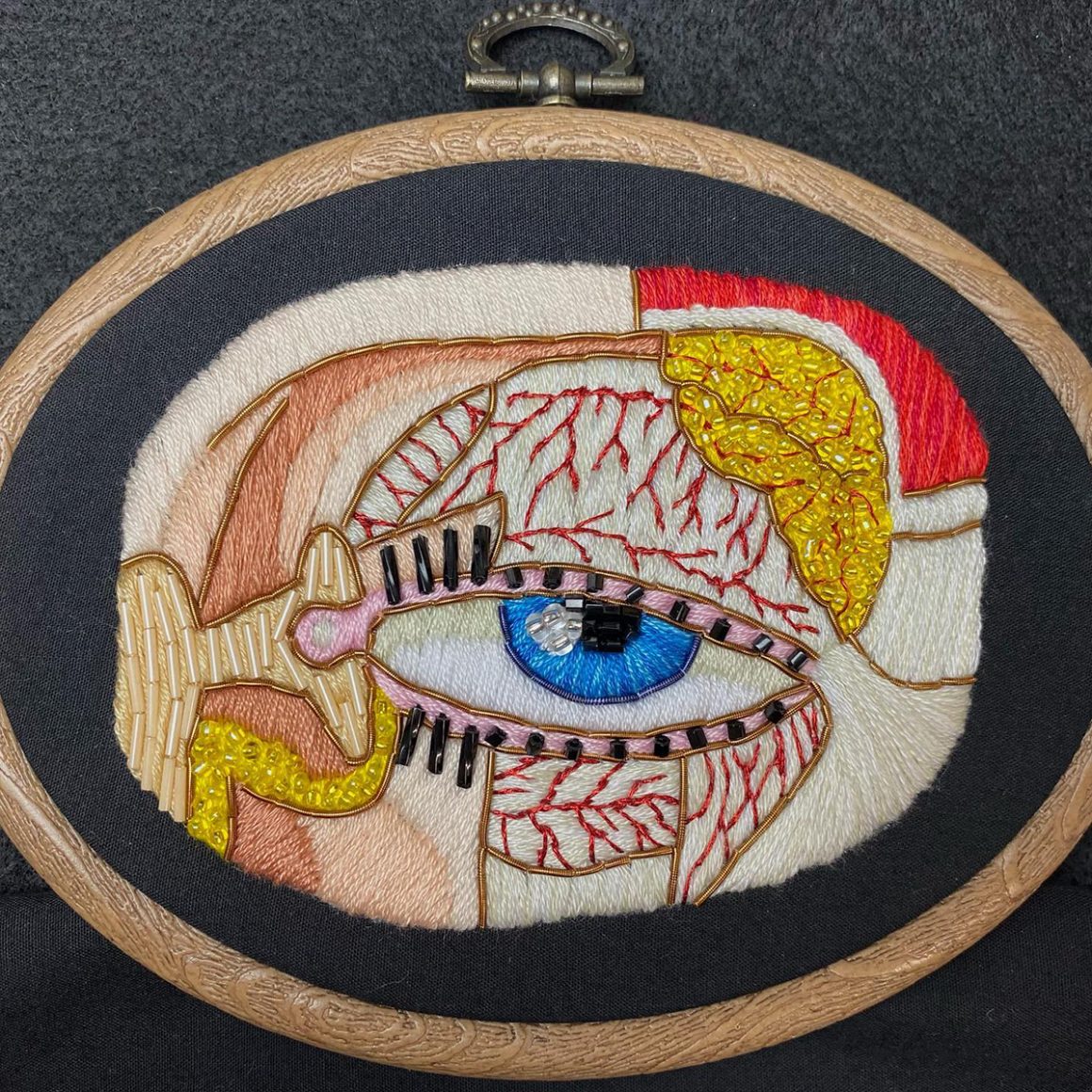 Les délicates et minutieuses broderies de l’anatomie humaine d’Amber ...
