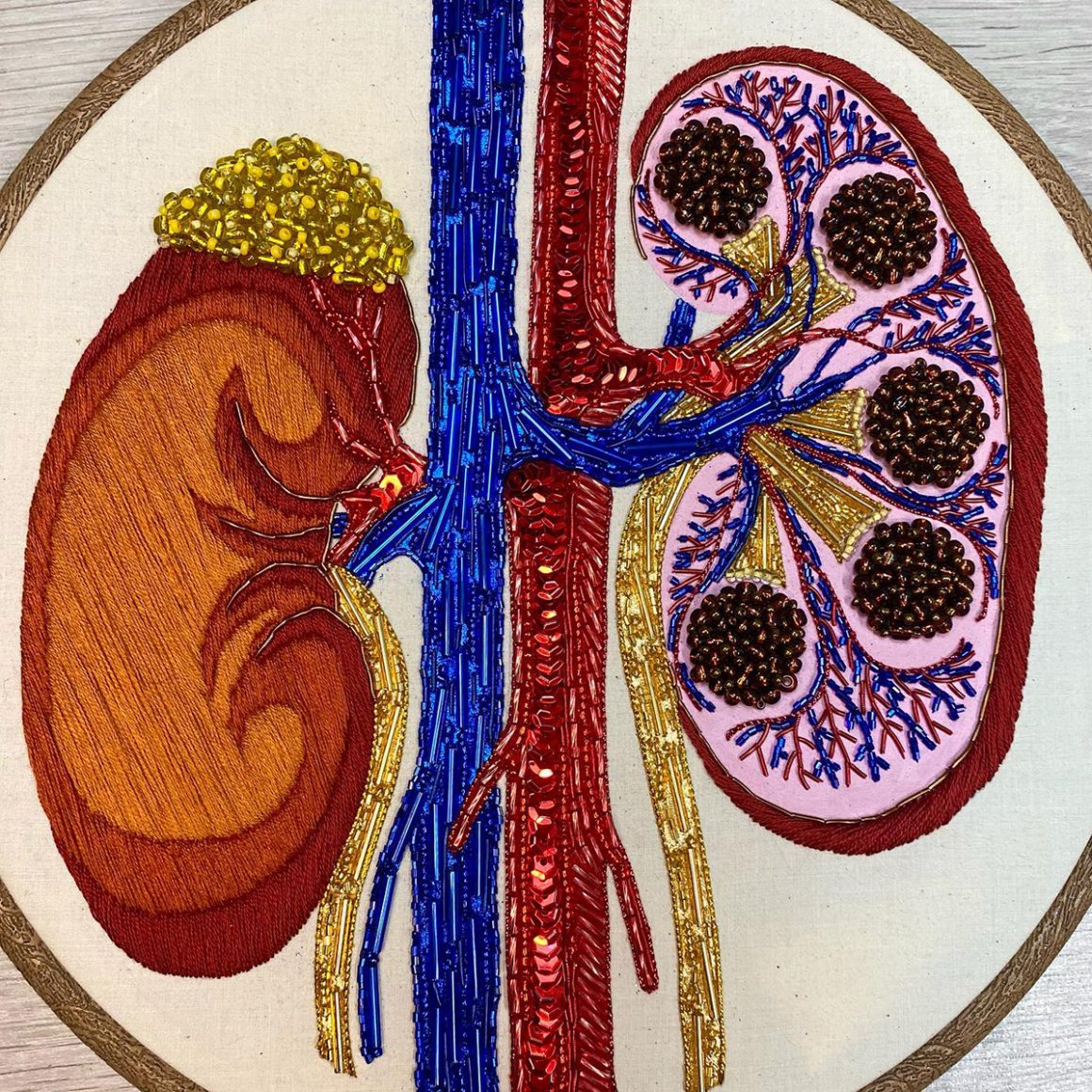 Les délicates et minutieuses broderies de l’anatomie humaine d’Amber ...