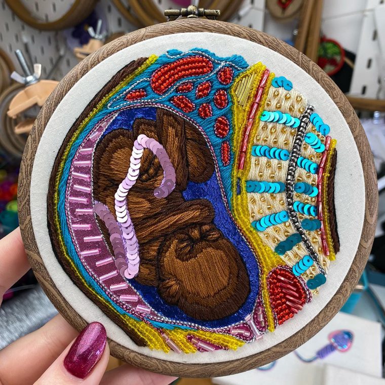 Les délicates et minutieuses broderies de l’anatomie humaine d’Amber ...