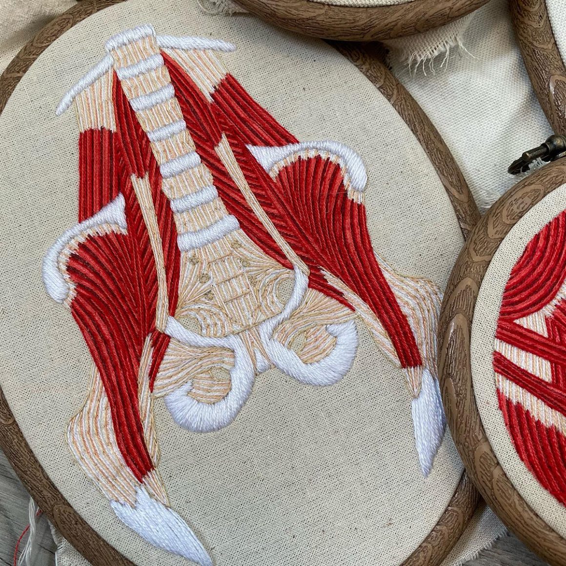 Les délicates et minutieuses broderies de l’anatomie humaine d’Amber ...