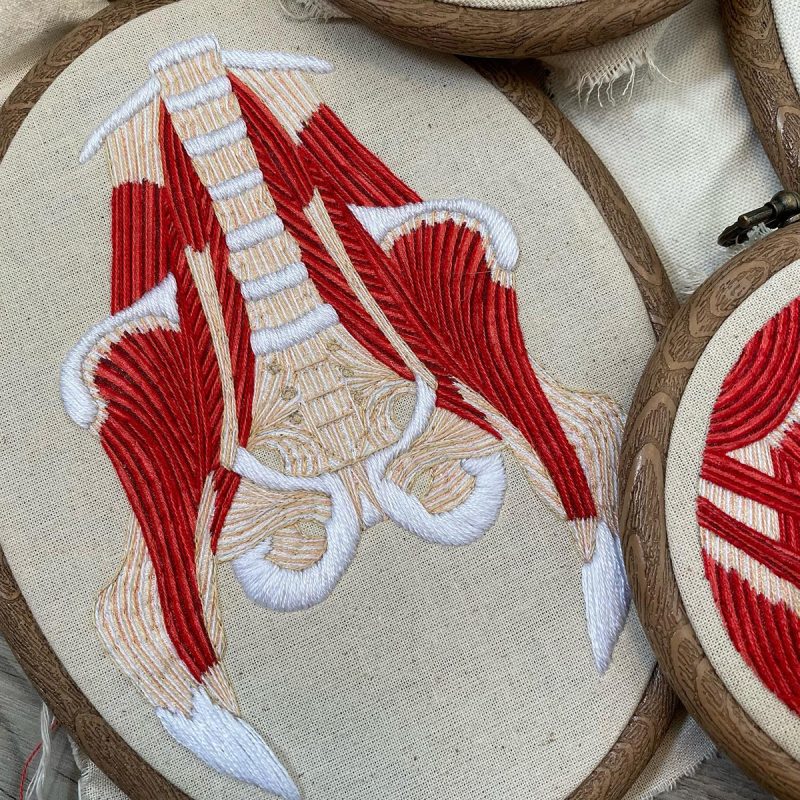 Les délicates et minutieuses broderies de l’anatomie humaine d’Amber ...