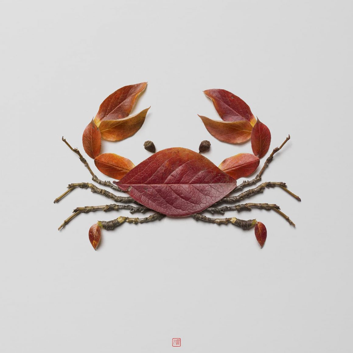 Les merveilleuses créations de fleurs et de feuilles de l’artiste Raku ...