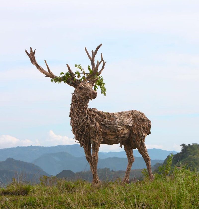Les majestueuses sculptures en bois flotté de l’artiste James Doran-Webb
