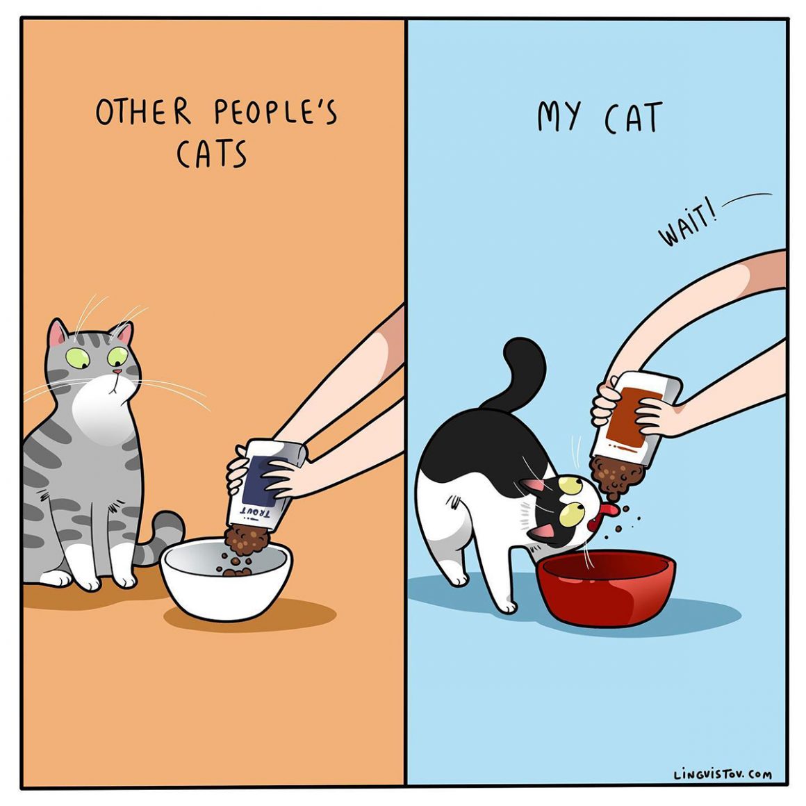 Elle raconte son quotidien avec un chat dans des mini BD pleines d’humour