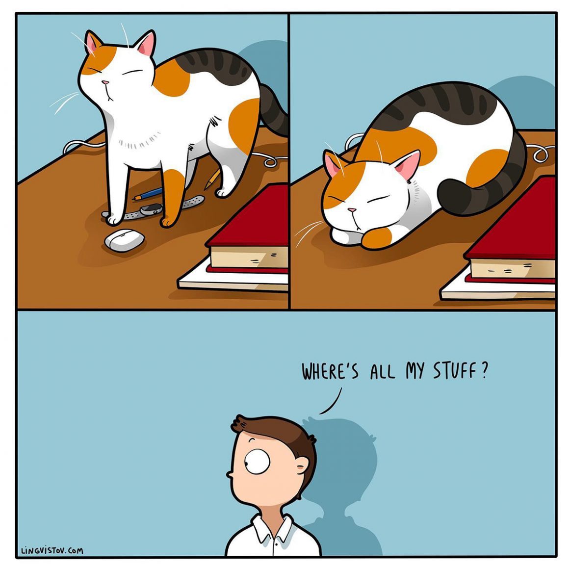Elle raconte son quotidien avec un chat dans des mini BD pleines d ...