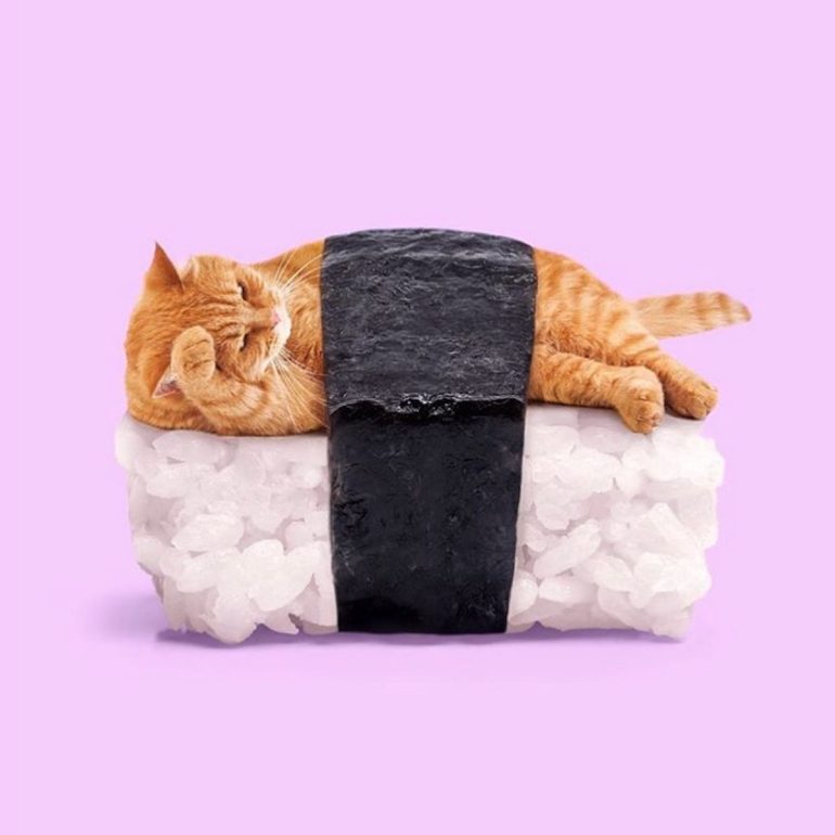 Le créatif Paul Fuentes fusionne tout ce qu'il trouve pour des mixes ...