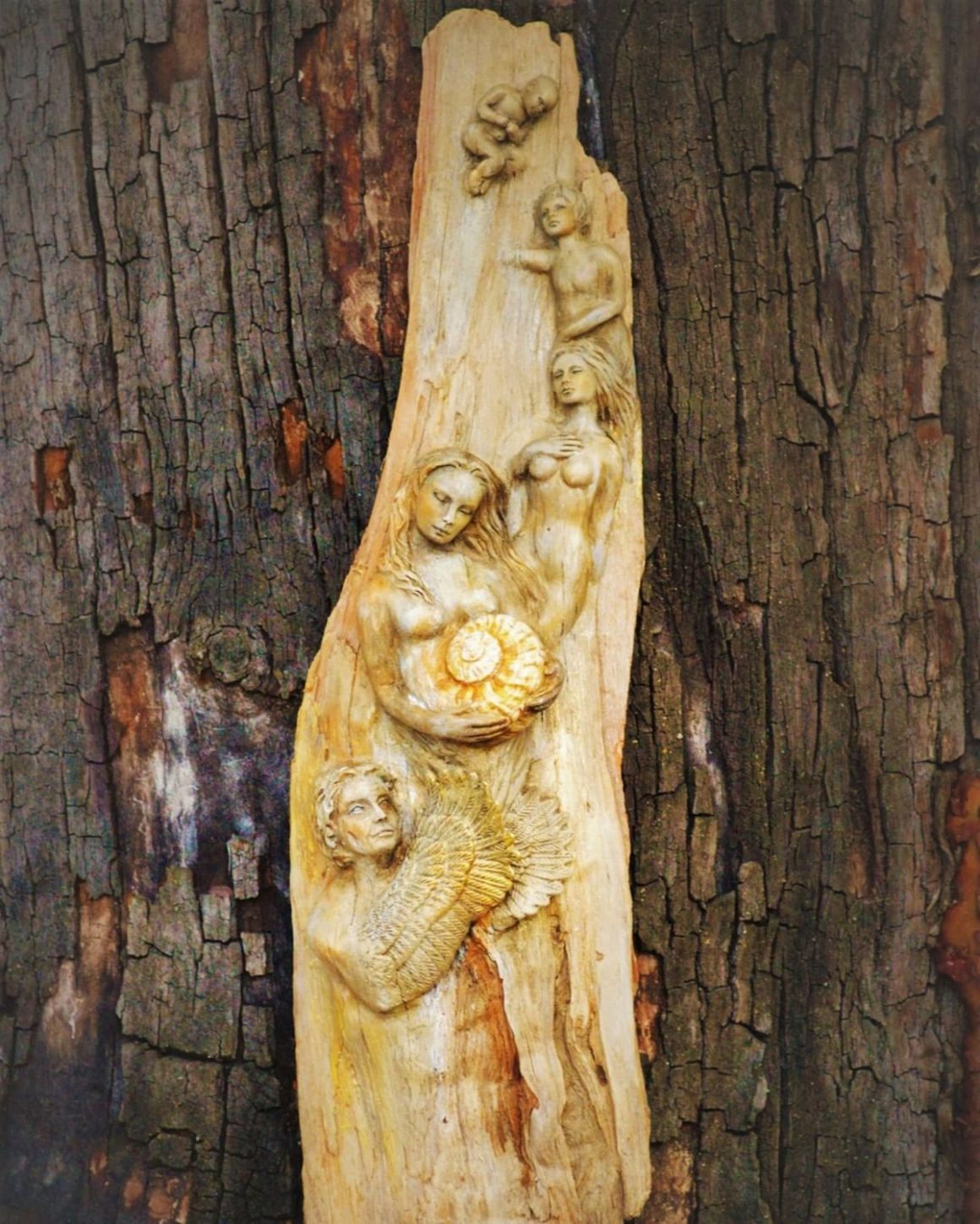 Les sculptures poétiques en bois flotté de l’artiste Debra Bernier