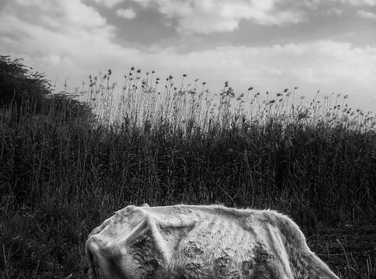 Les 35 clichés lauréats du concours Minimalist Photography Awards 2022 ...