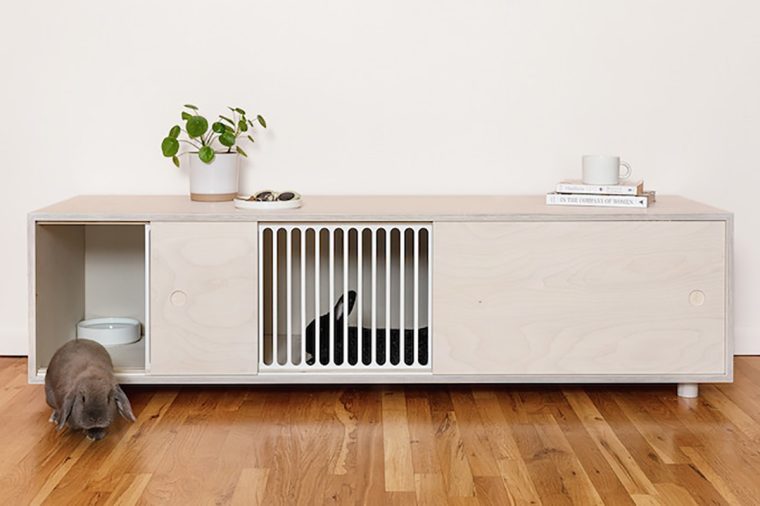 Des meubles designs et élégants spécialement conçus pour les lapins