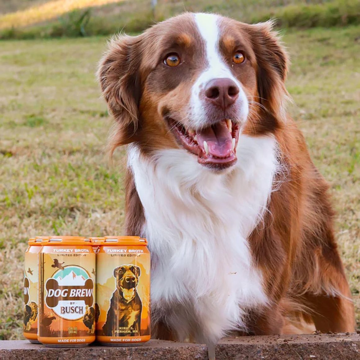 Pour Thanksgiving, cette marque dévoile des bières à la dinde pour les ...