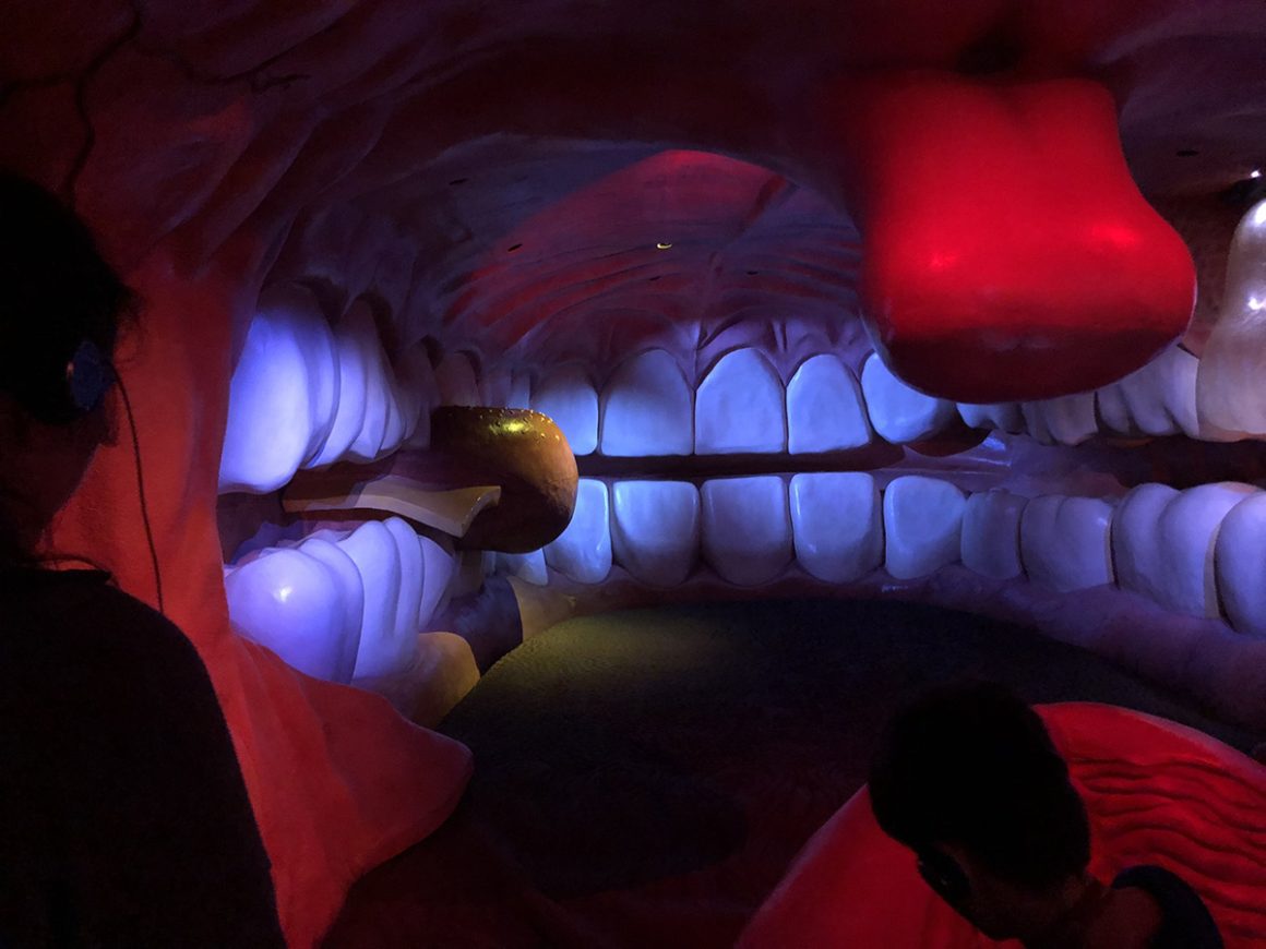 Aux Pays-Bas, ce musée offre une immersion insolite dans le corps ...