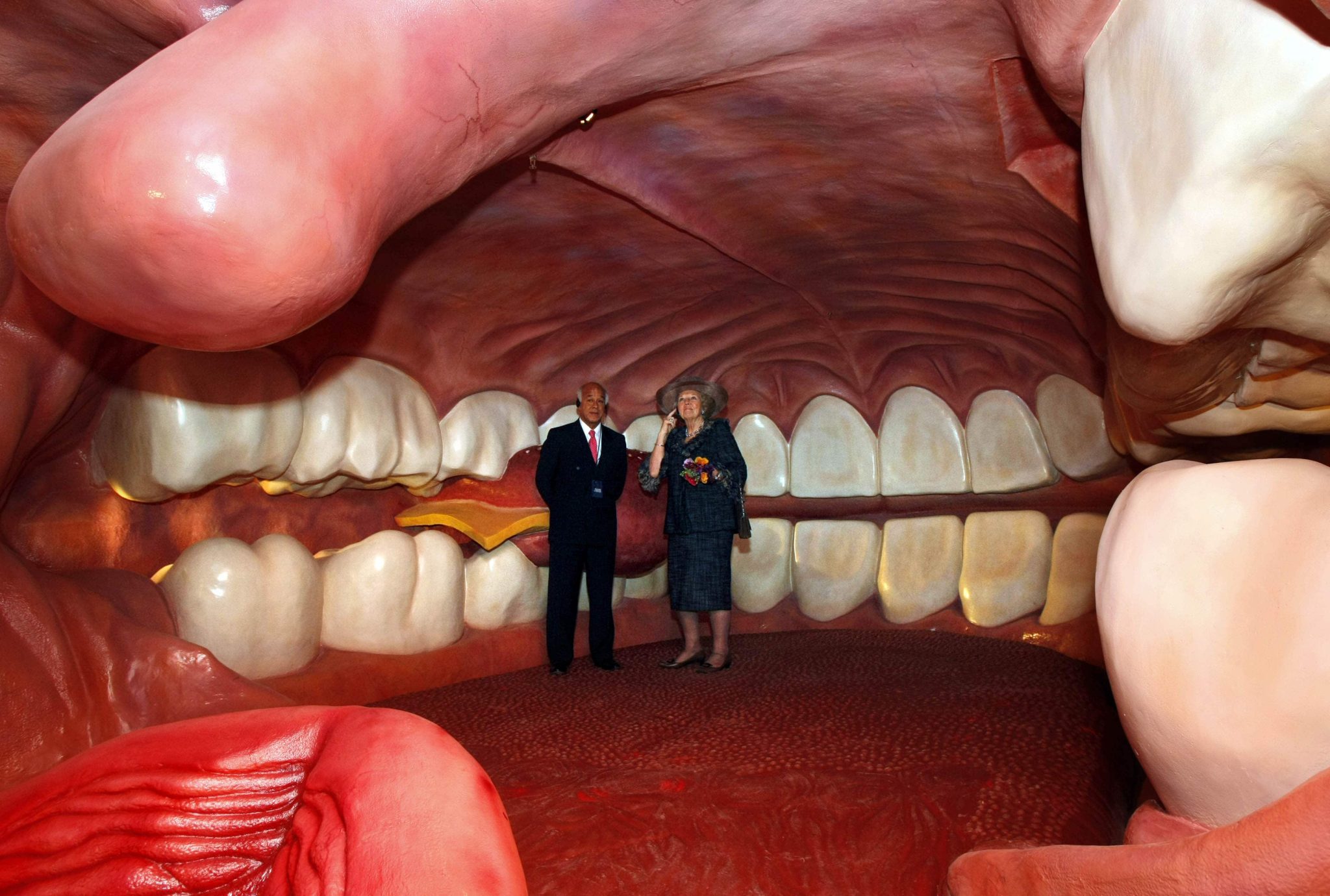 Aux Pays-Bas, ce musée offre une immersion insolite dans le corps ...