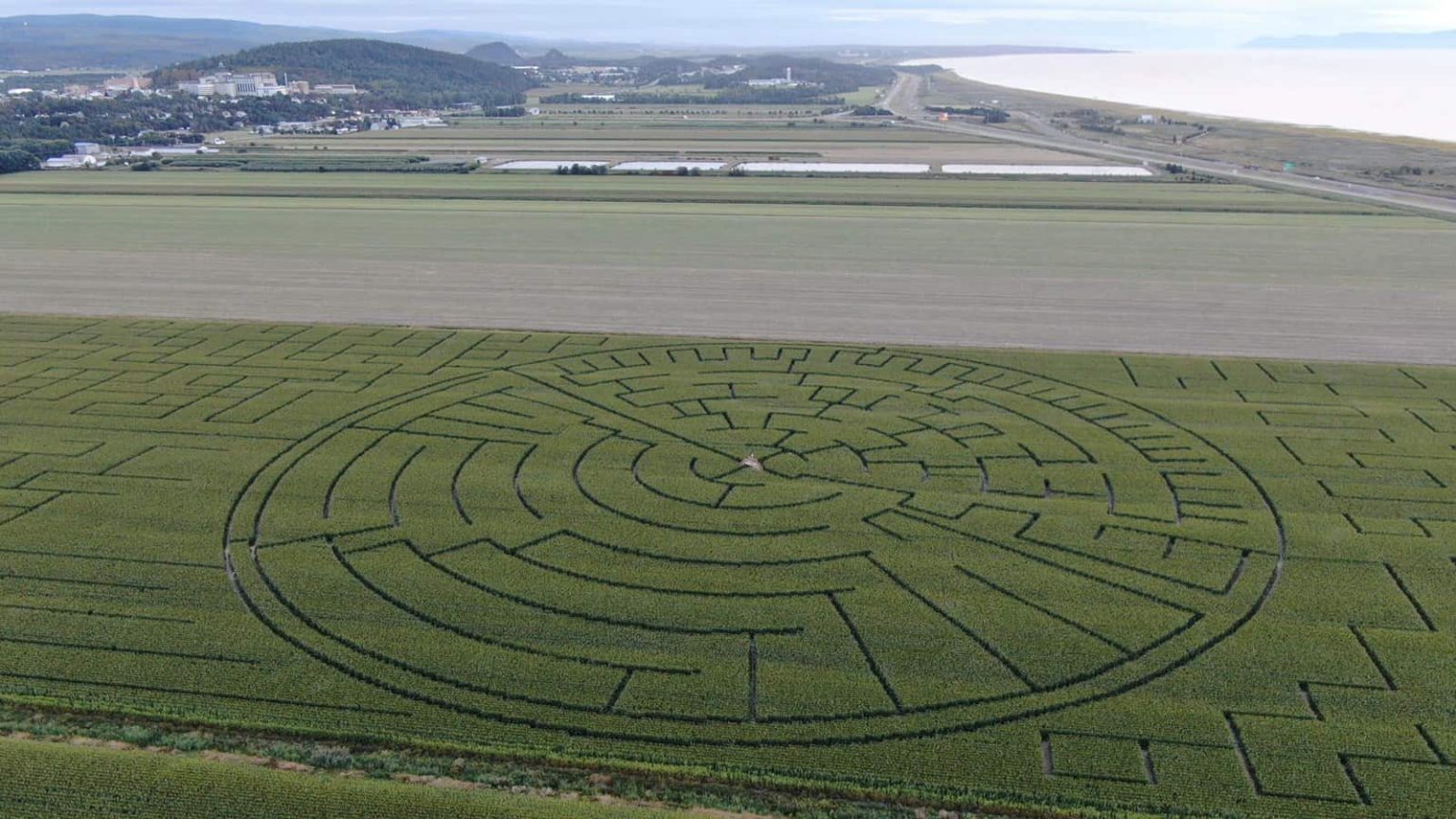 Au Québec, ce champ vient d’être élu plus grand labyrinthe de maïs au monde