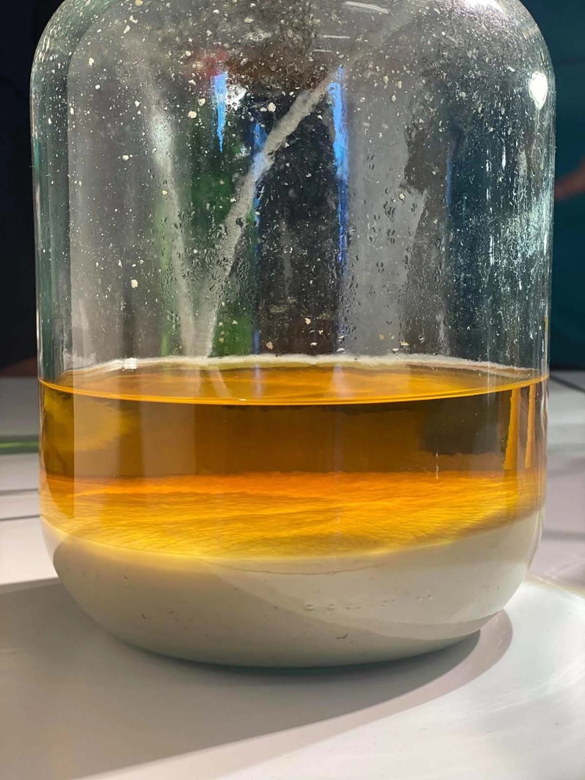 Disgusting Food Museum : le musée des aliments dégoûtants ouvre en Suède