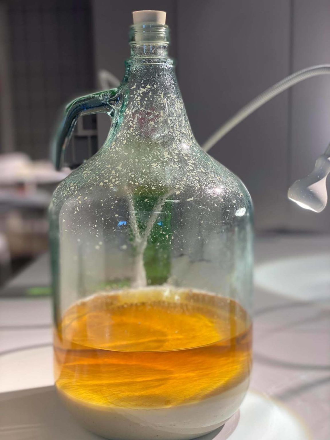 Disgusting Food Museum : le musée des aliments dégoûtants ouvre en Suède