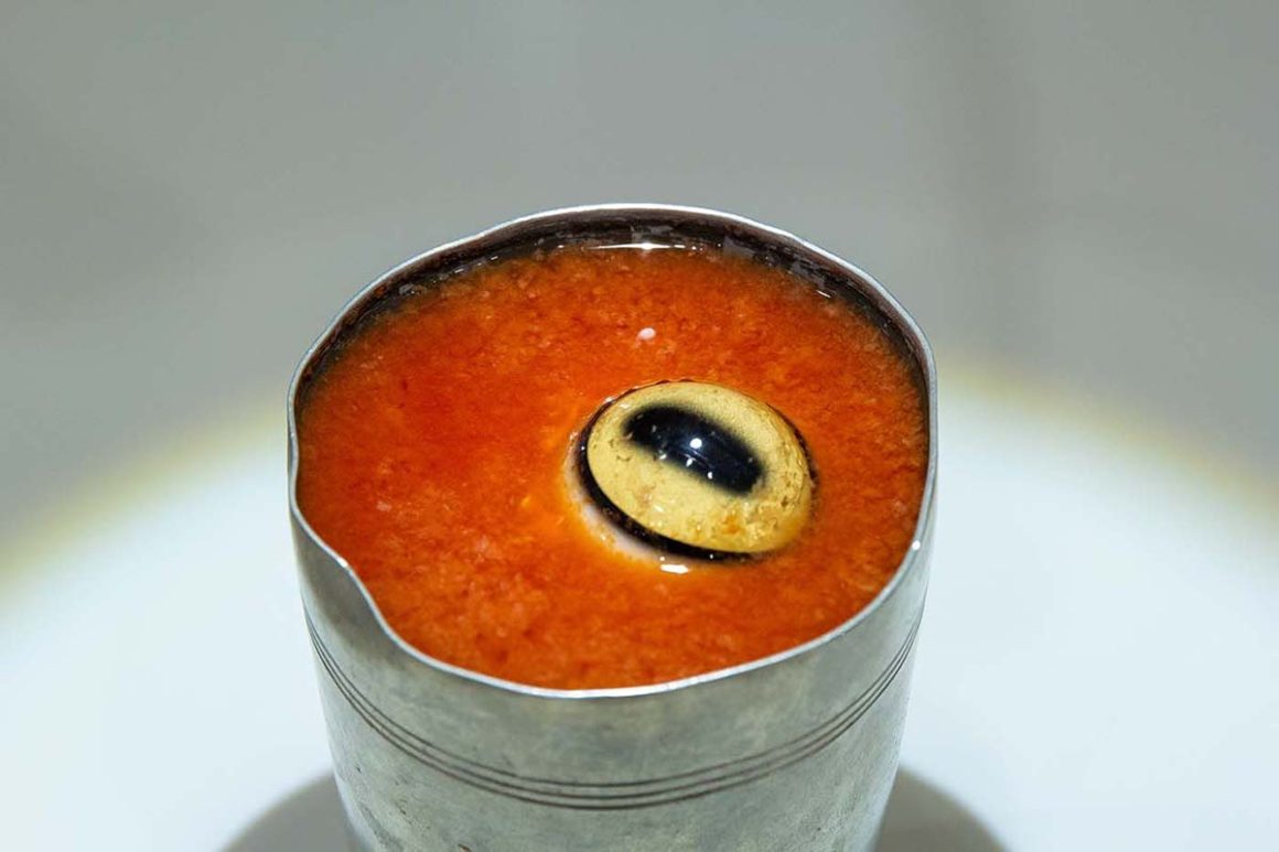 Disgusting Food Museum : le musée des aliments dégoûtants ouvre en ...