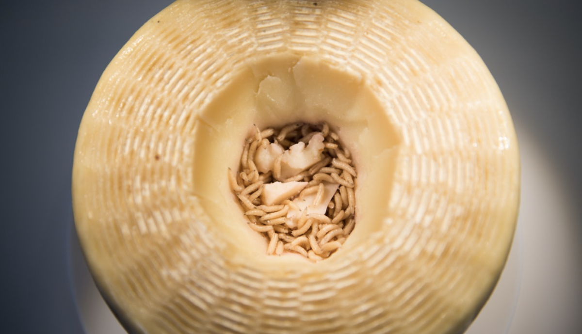 Disgusting Food Museum : le musée des aliments dégoûtants ouvre en Suède