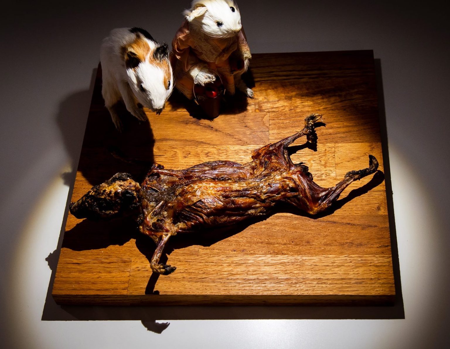 Disgusting Food Museum : le musée des aliments dégoûtants ouvre en Suède