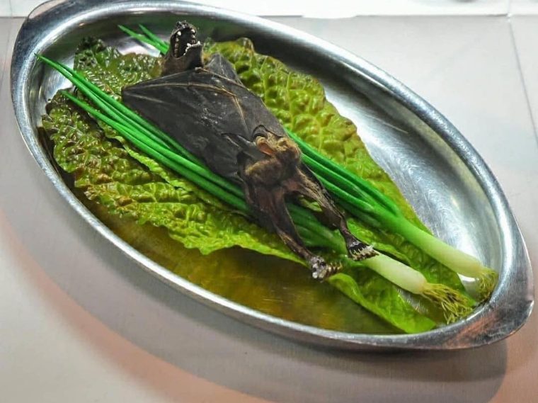 Disgusting Food Museum : le musée des aliments dégoûtants ouvre en ...