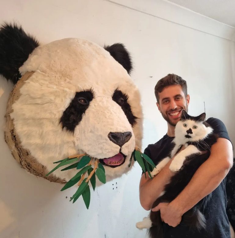 Les sculptures réalistes d'animaux sauvages en carton de Josh Gluckstein