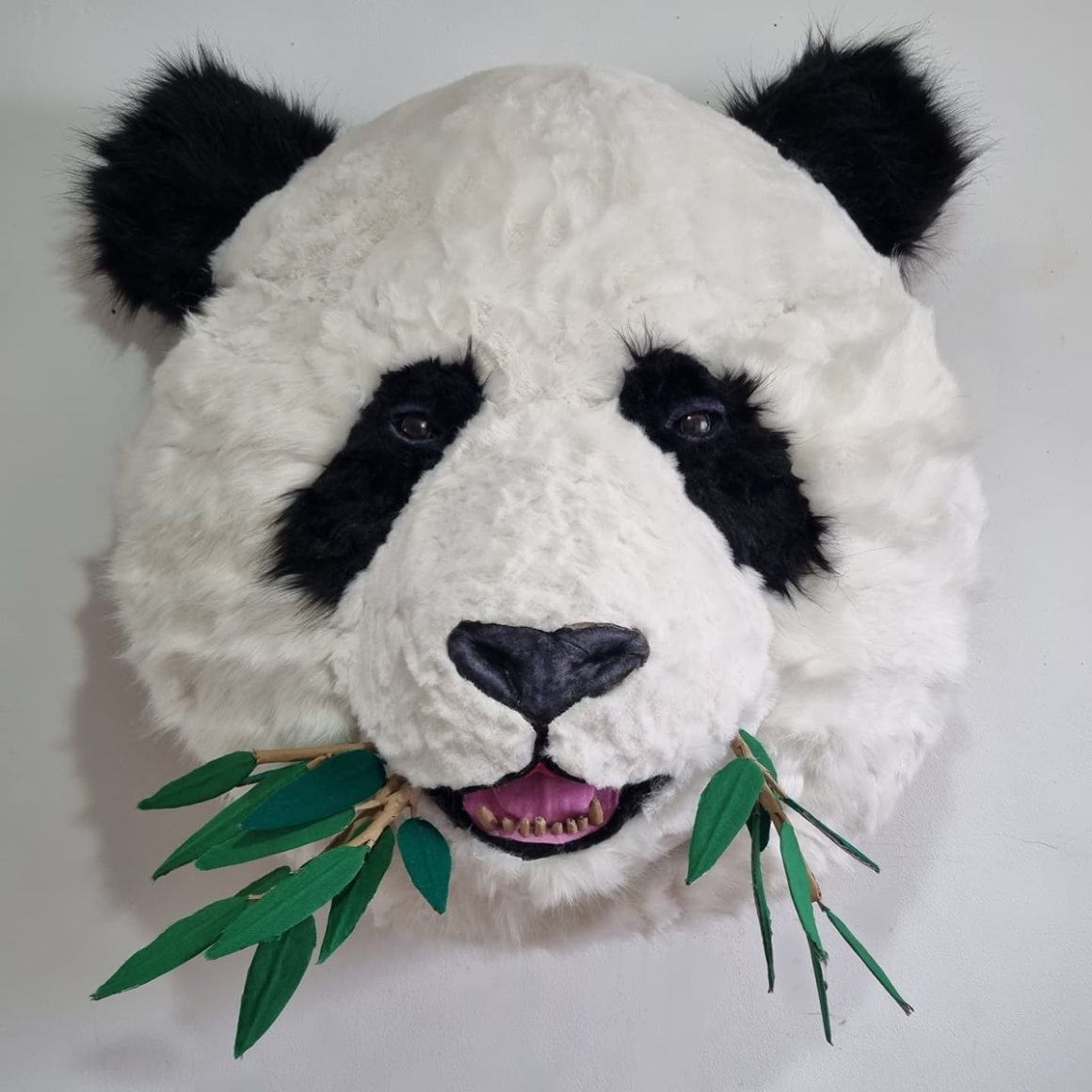 Les sculptures réalistes d'animaux sauvages en carton de Josh Gluckstein