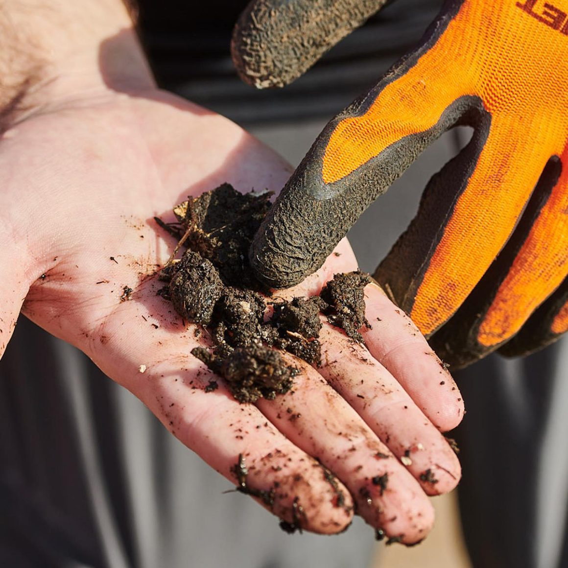 Ces claquettes biosourcées se transforment en terre une fois usées ...