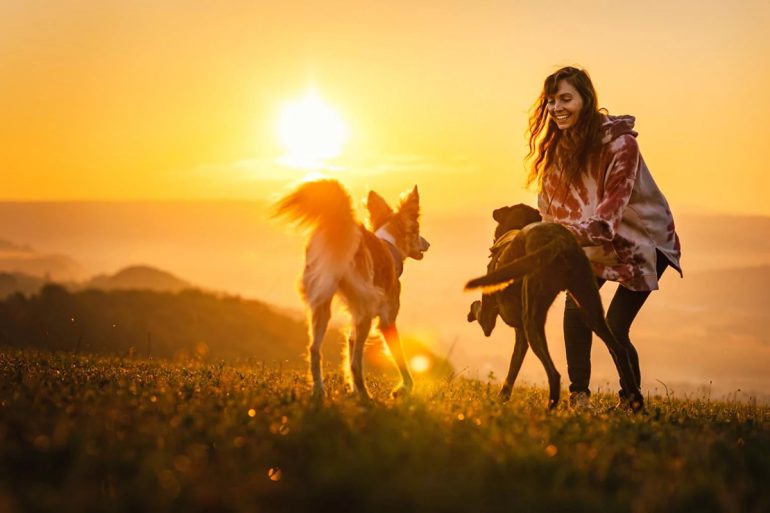 Les magnifiques clichés lauréats du Dog Photography Awards 2022 - Creapills