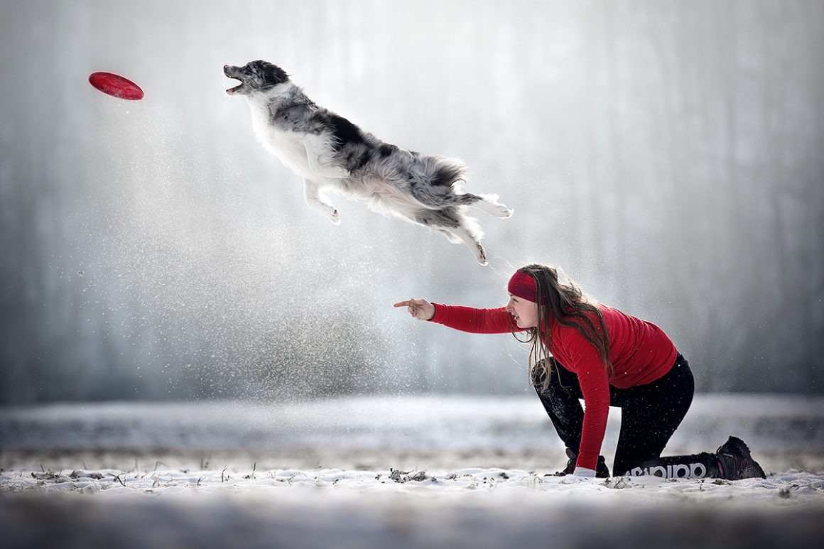 Les magnifiques clichés lauréats du Dog Photography Awards 2022 - Creapills