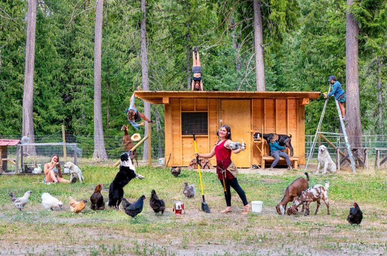 Les fascinants "portraits de famille" d’animaux de la ferme de Tasha ...