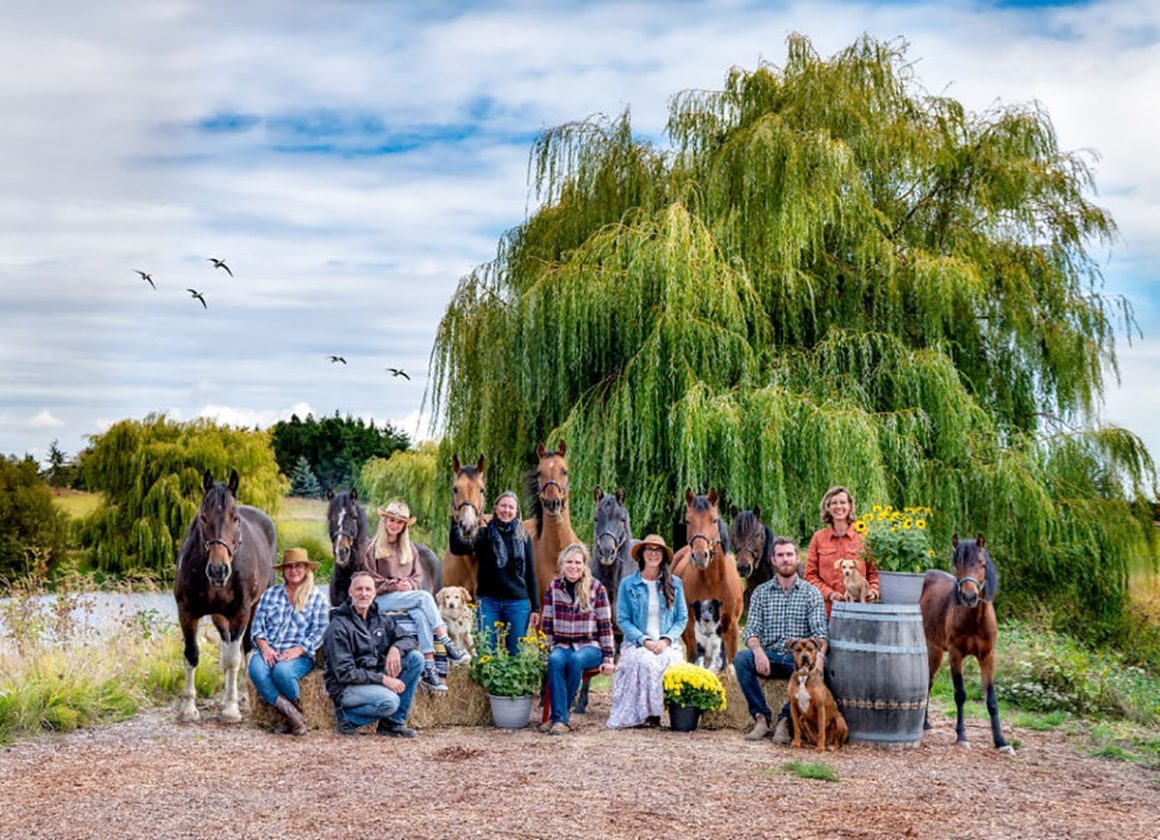 Les fascinants "portraits de famille" d’animaux de la ferme de Tasha Hall