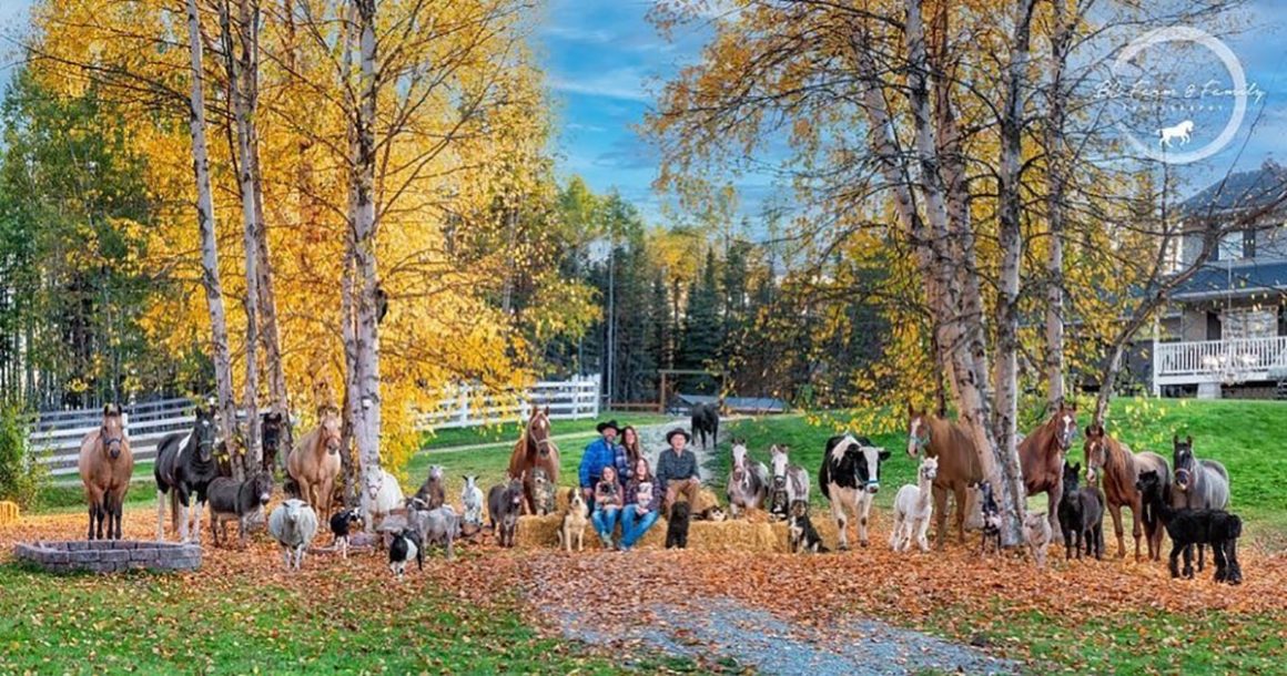 Les fascinants "portraits de famille" d’animaux de la ferme de Tasha Hall