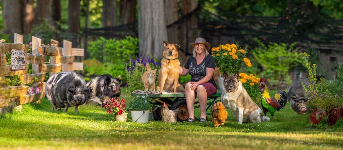 Les fascinants "portraits de famille" d’animaux de la ferme de Tasha ...