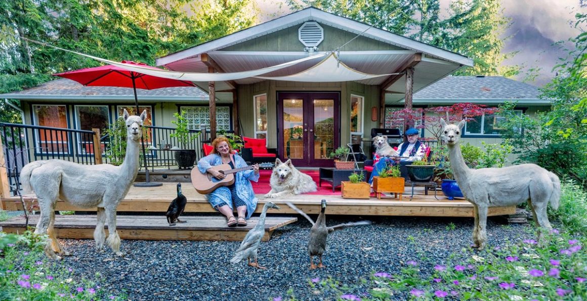 Les fascinants "portraits de famille" d’animaux de la ferme de Tasha Hall