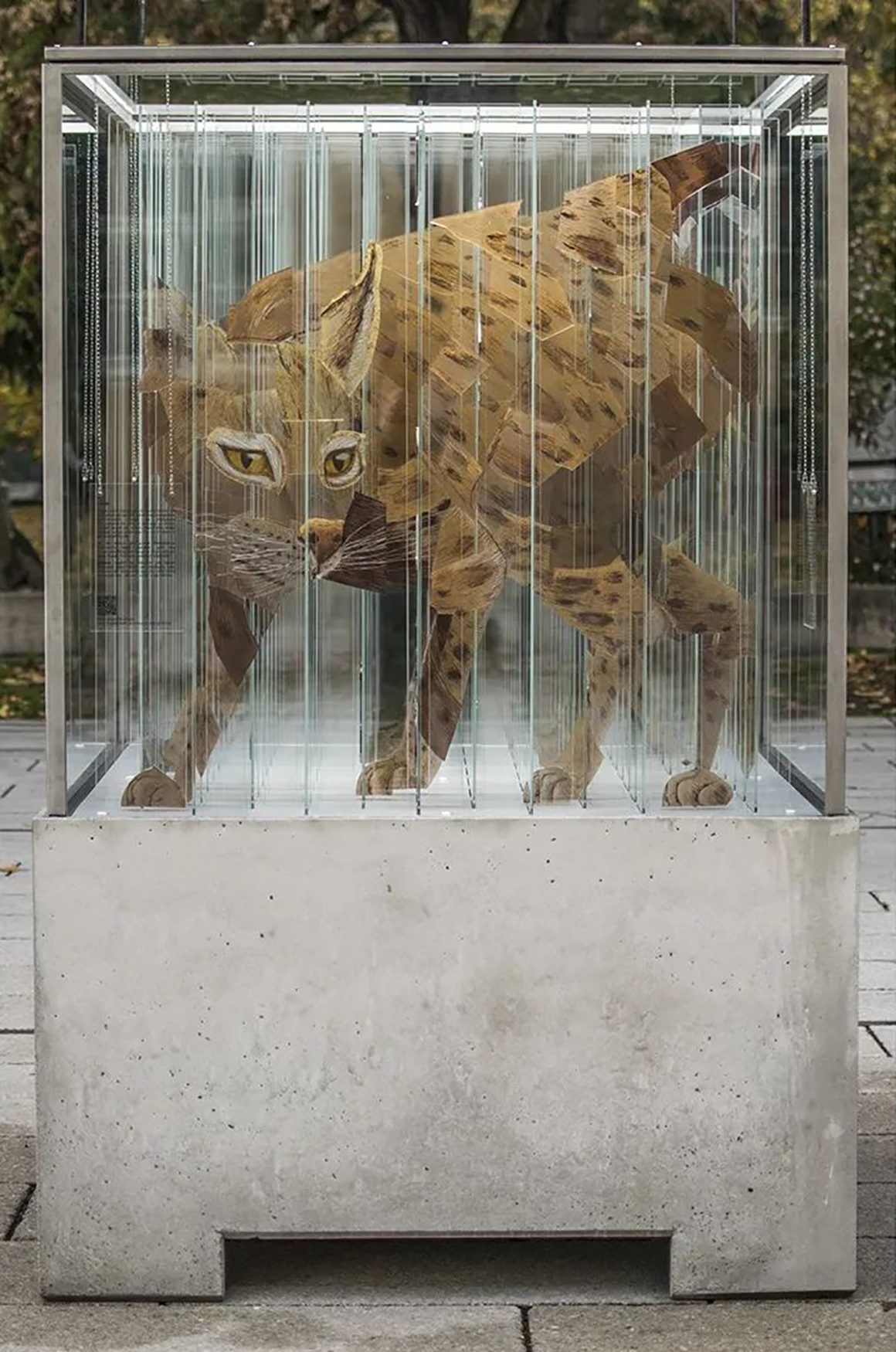 Cette fascinante sculpture en anamorphose représente 4 animaux menacés ...