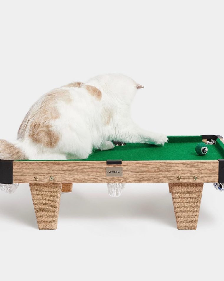 Un billard miniature conçu spécialement pour jouer avec votre chat ...