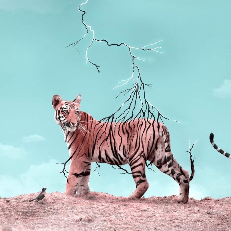 On a demandé à 2 artistes de transformer les expressions françaises en ...