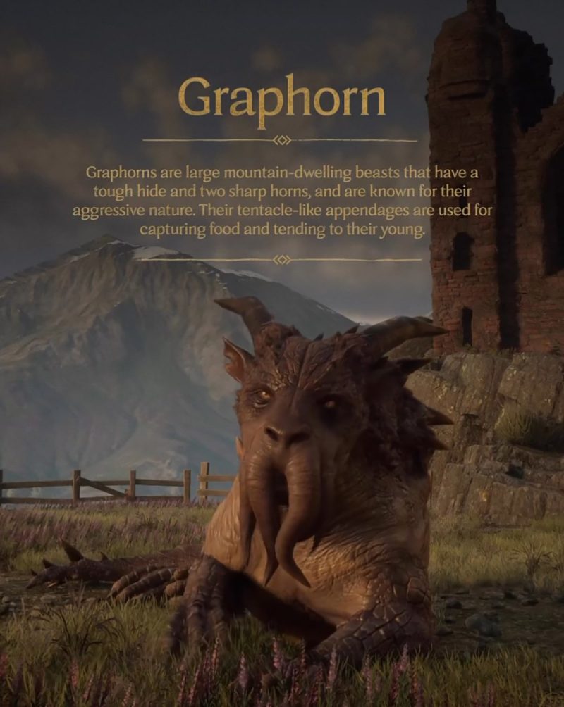 PETA dévoile un guide pour bien traiter les animaux dans "Hogwarts ...