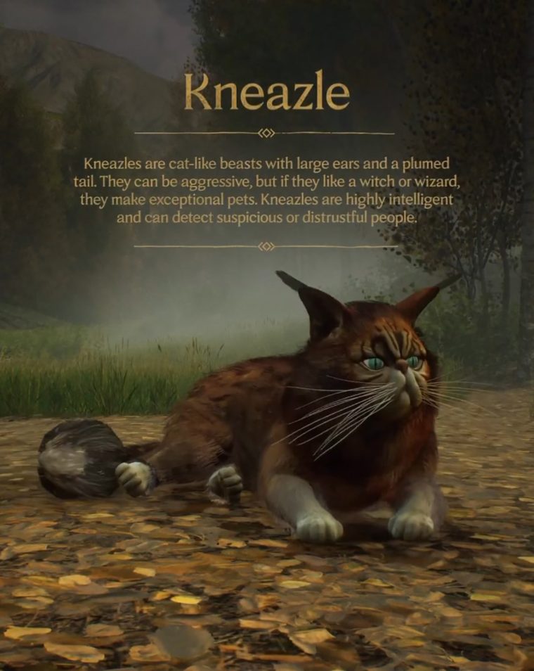 PETA dévoile un guide pour bien traiter les animaux dans "Hogwarts ...