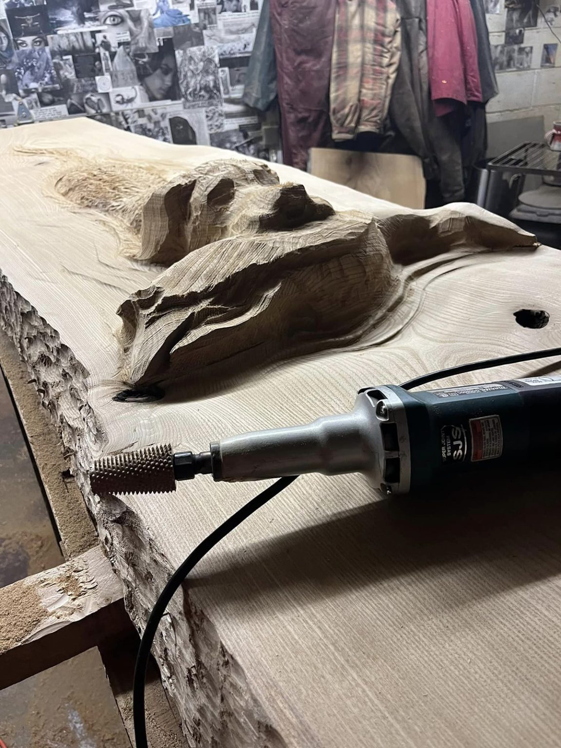 Les incroyables sculptures en bois de Scott Dow semblent prendre vie