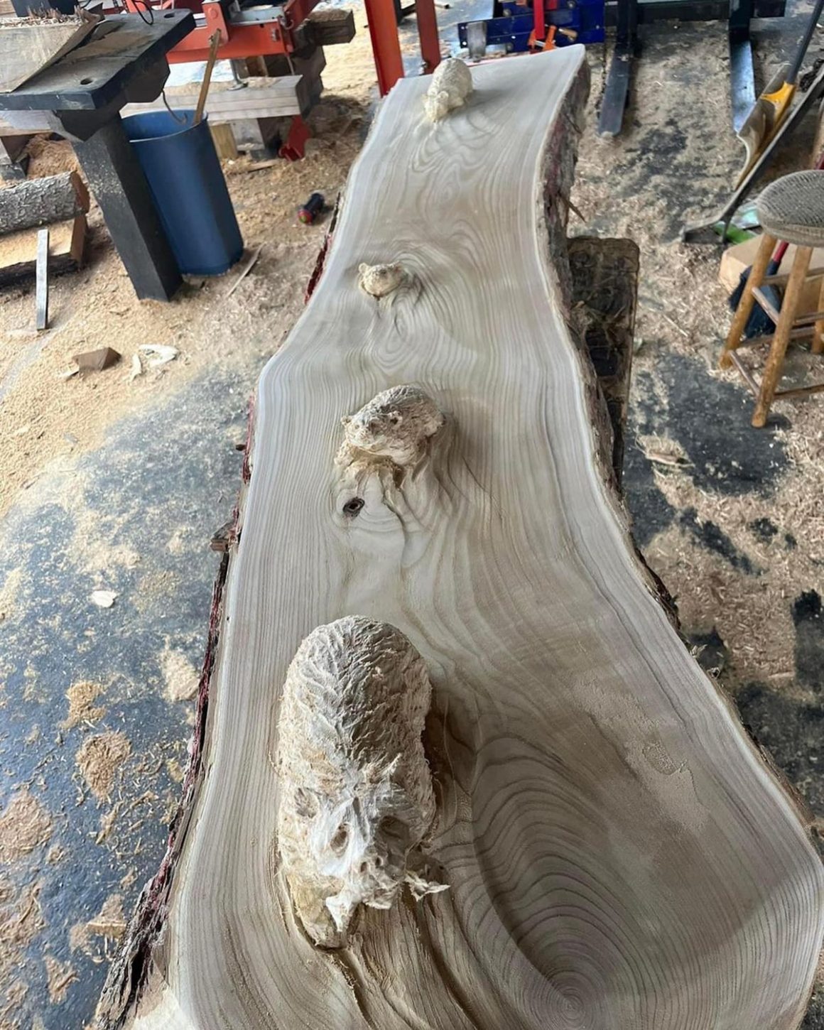 Les incroyables sculptures en bois de Scott Dow semblent prendre vie