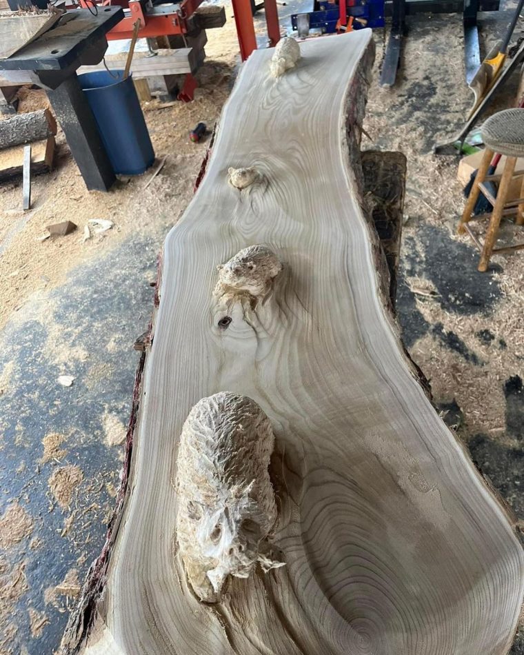 Les incroyables sculptures en bois de Scott Dow semblent prendre vie