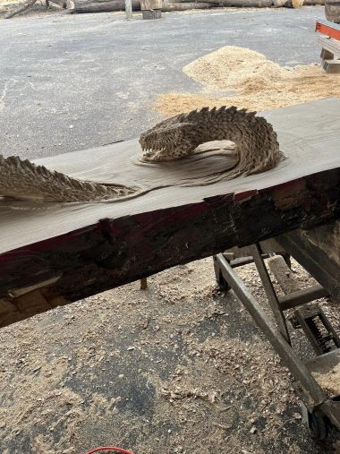 Les incroyables sculptures en bois de Scott Dow semblent prendre vie