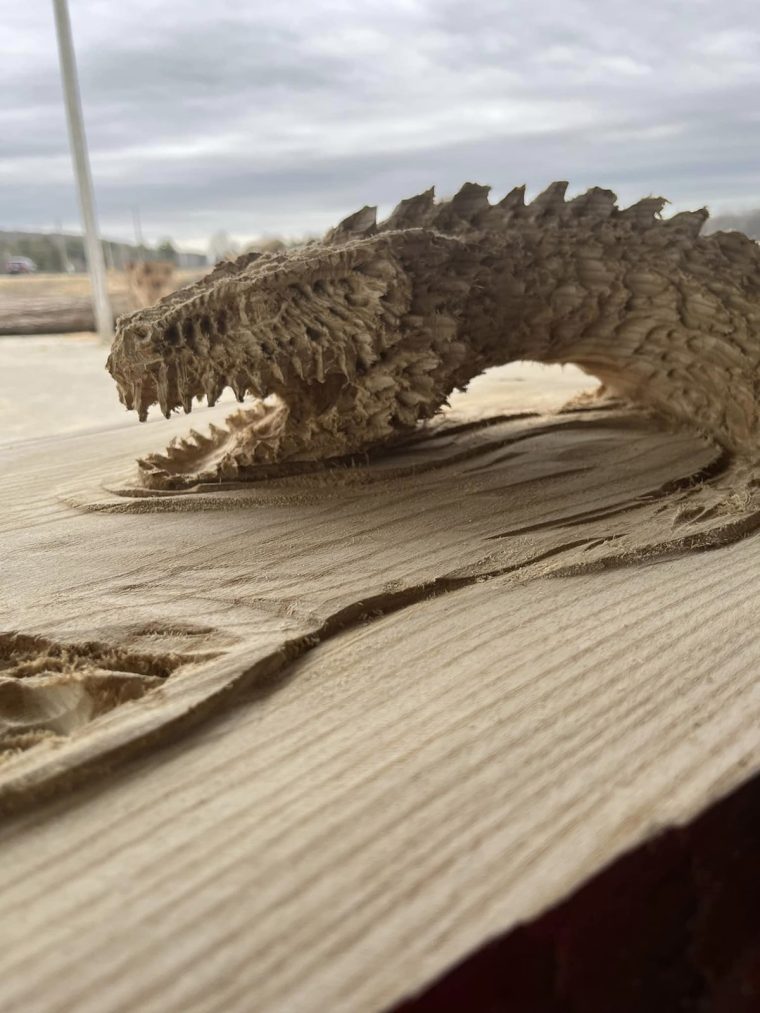 Les incroyables sculptures en bois de Scott Dow semblent prendre vie