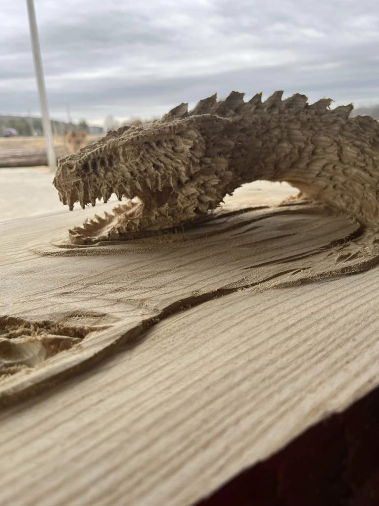 Les incroyables sculptures en bois de Scott Dow semblent prendre vie