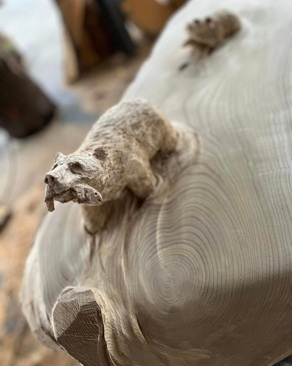 Les incroyables sculptures en bois de Scott Dow semblent prendre vie